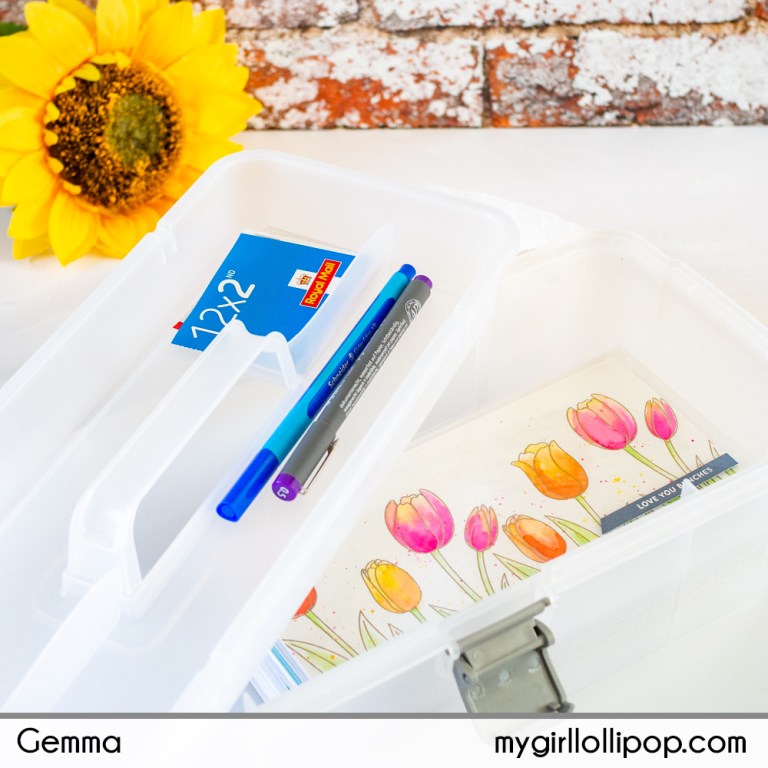 Deflecto Single Tray Storage Box Review – mygirllollipop